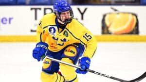 Blackhawks Draft Profiles: Anton Frondell | Chicago Hockey Now